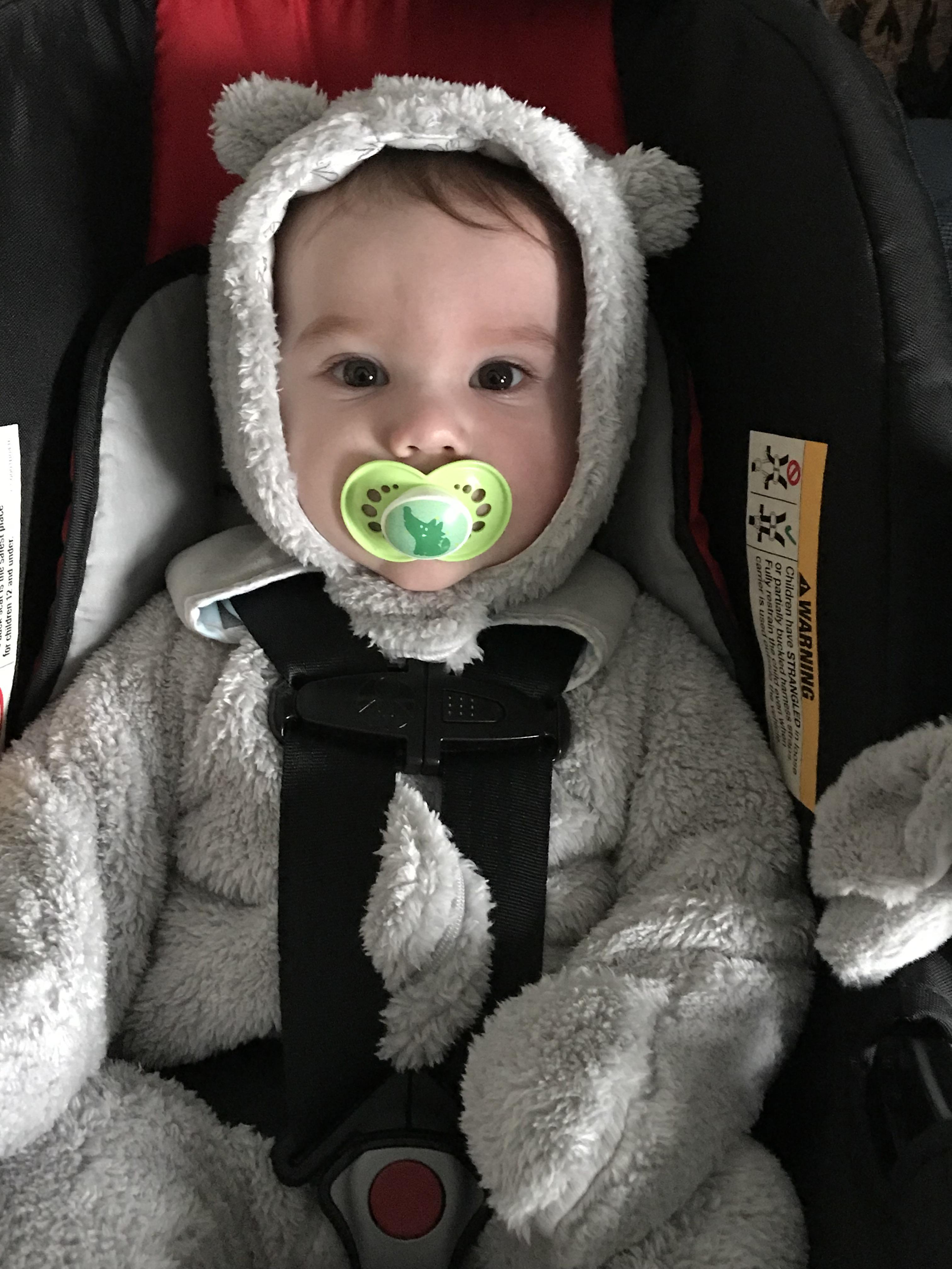 A rare polar bear sighting! | Scrolller