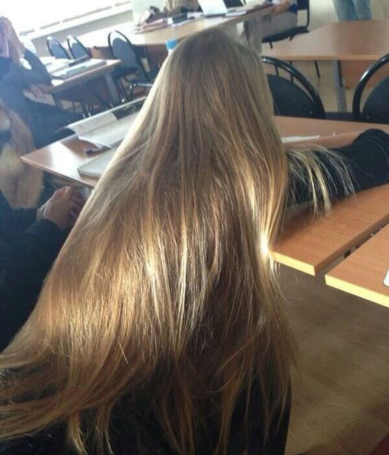 A reason not to skip class | Scrolller