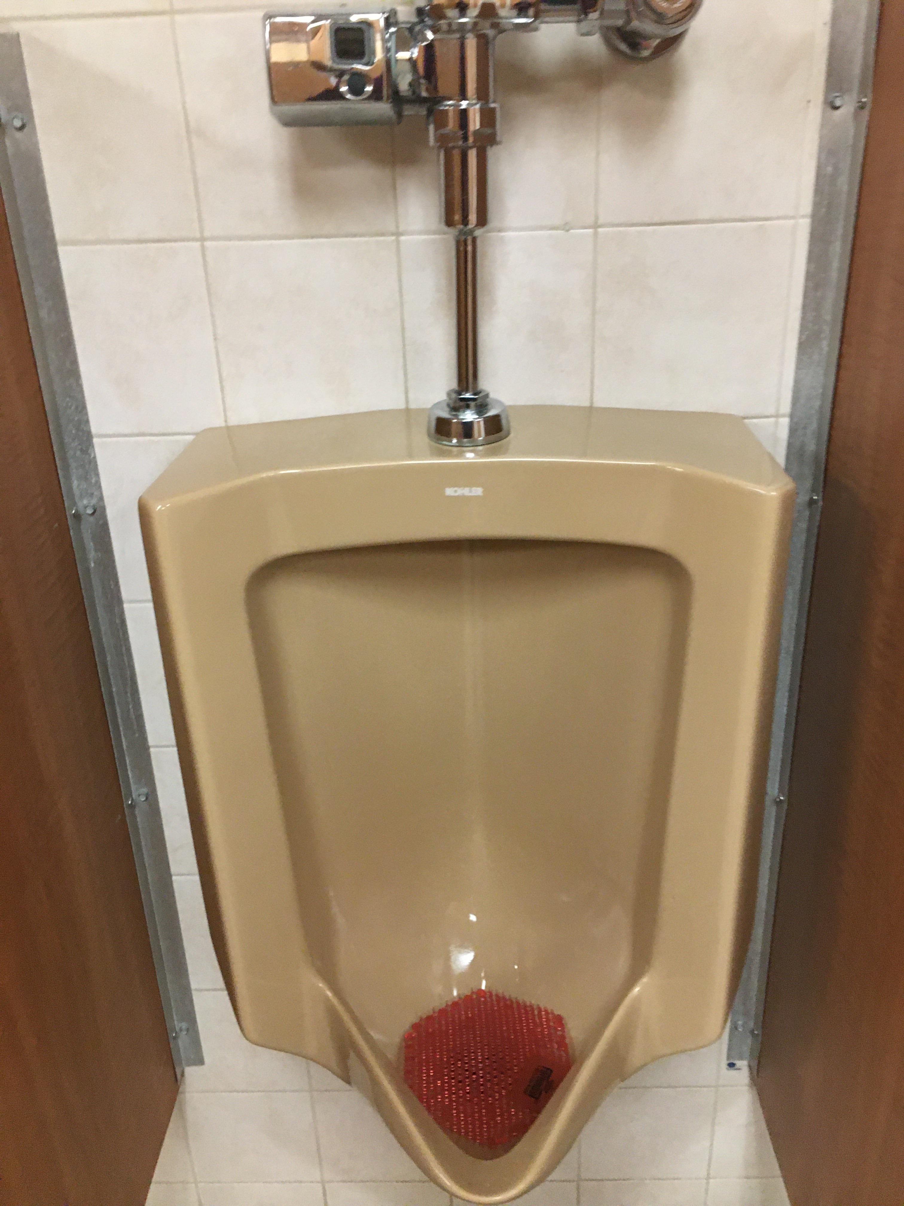 A shiny urinal appears! | Scrolller