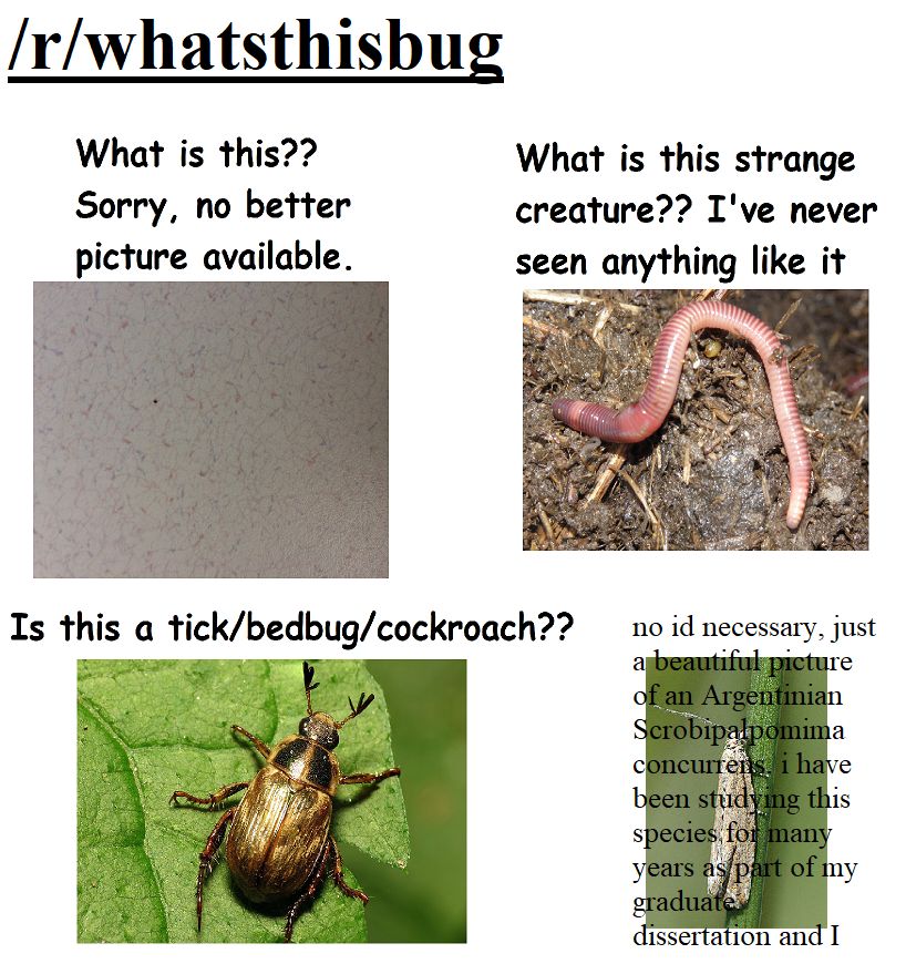 A summary of this sub | Scrolller