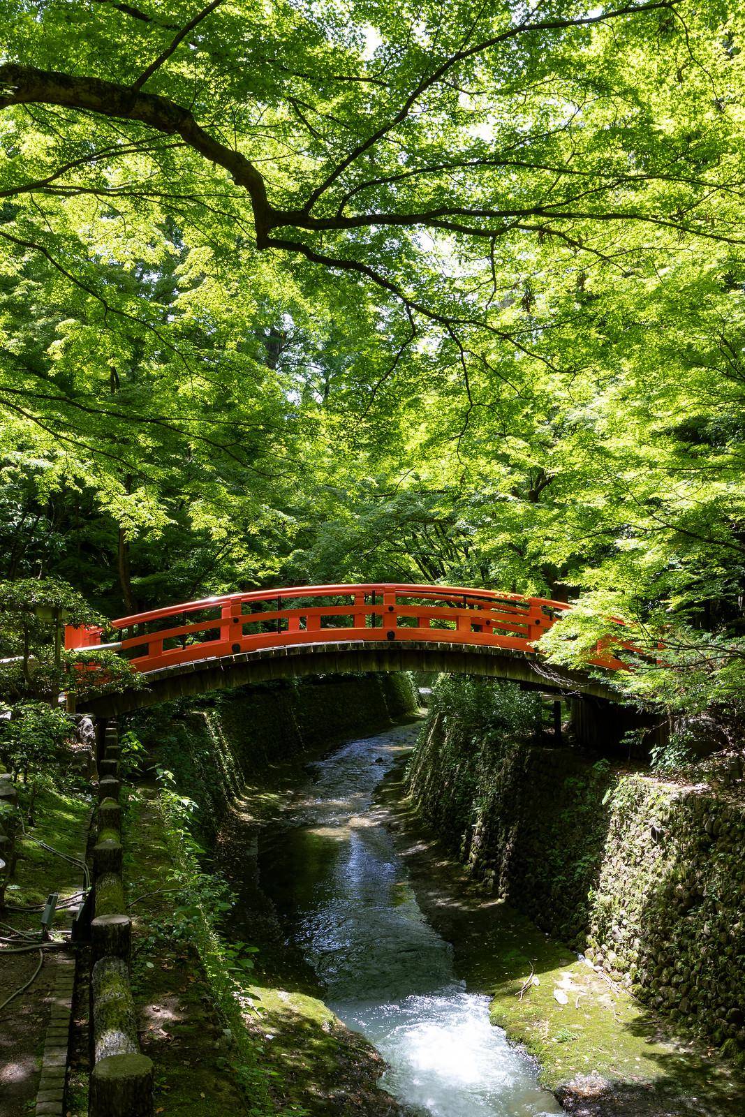 A temple's park in Kyoto, Japan [OC] | Scrolller