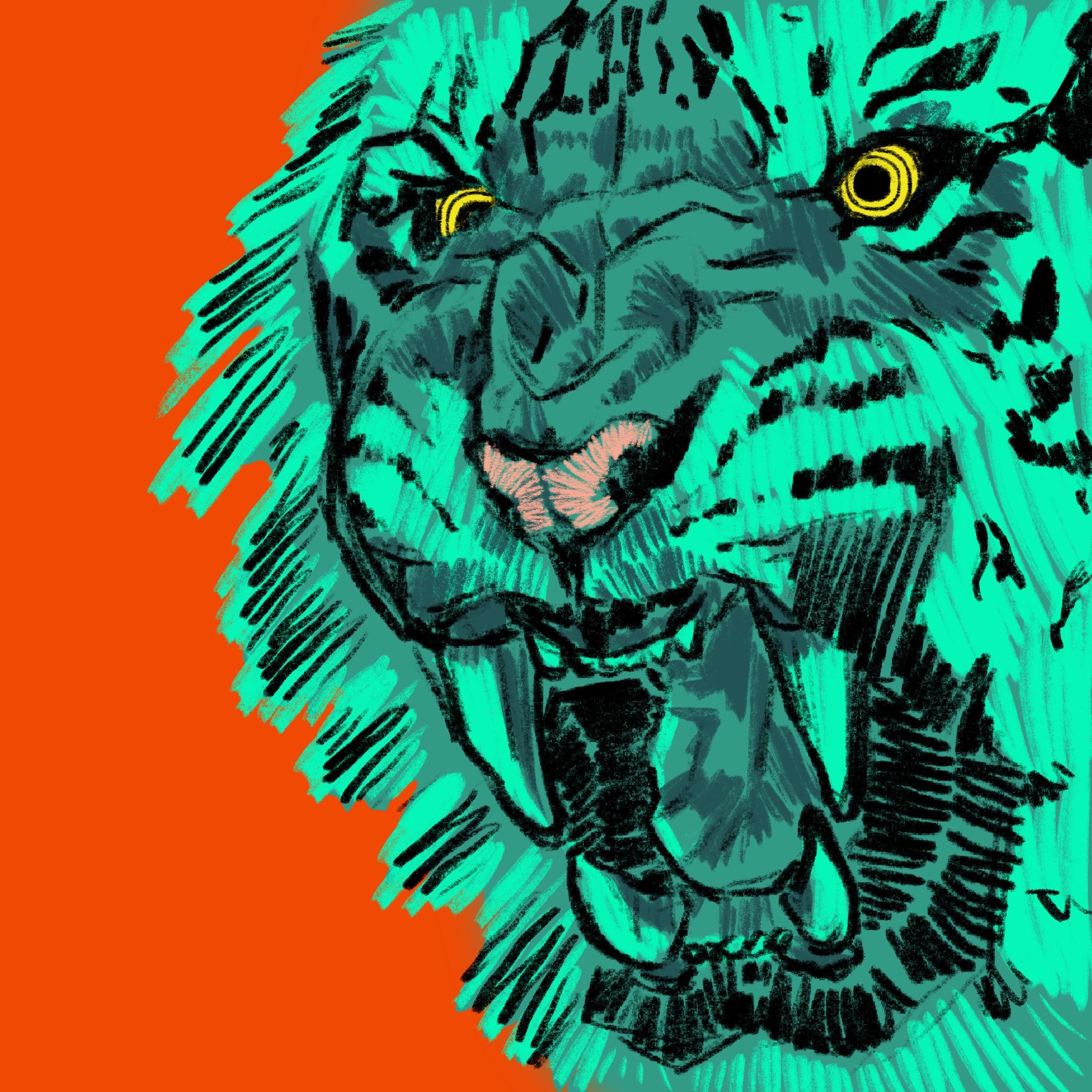 A Tiger! | Scrolller