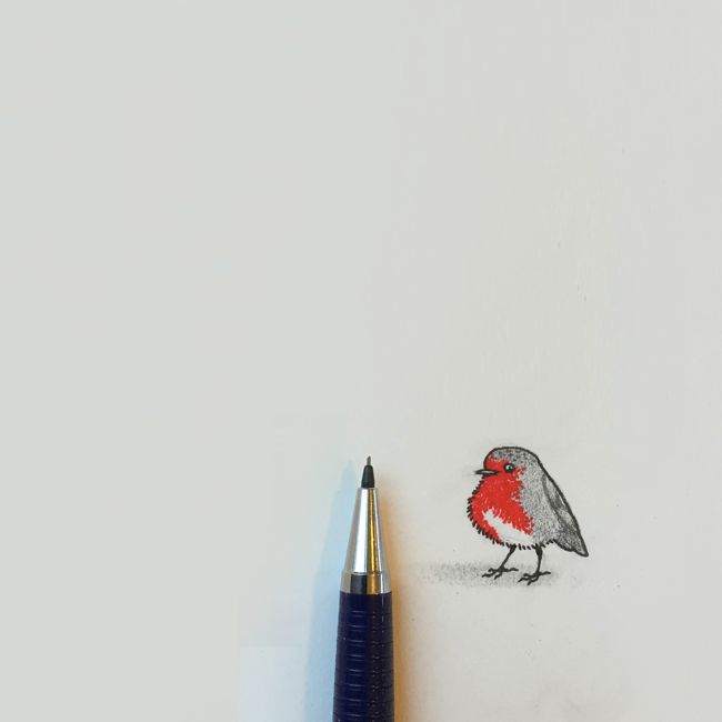 A tiny doodle of a European Robin | Scrolller