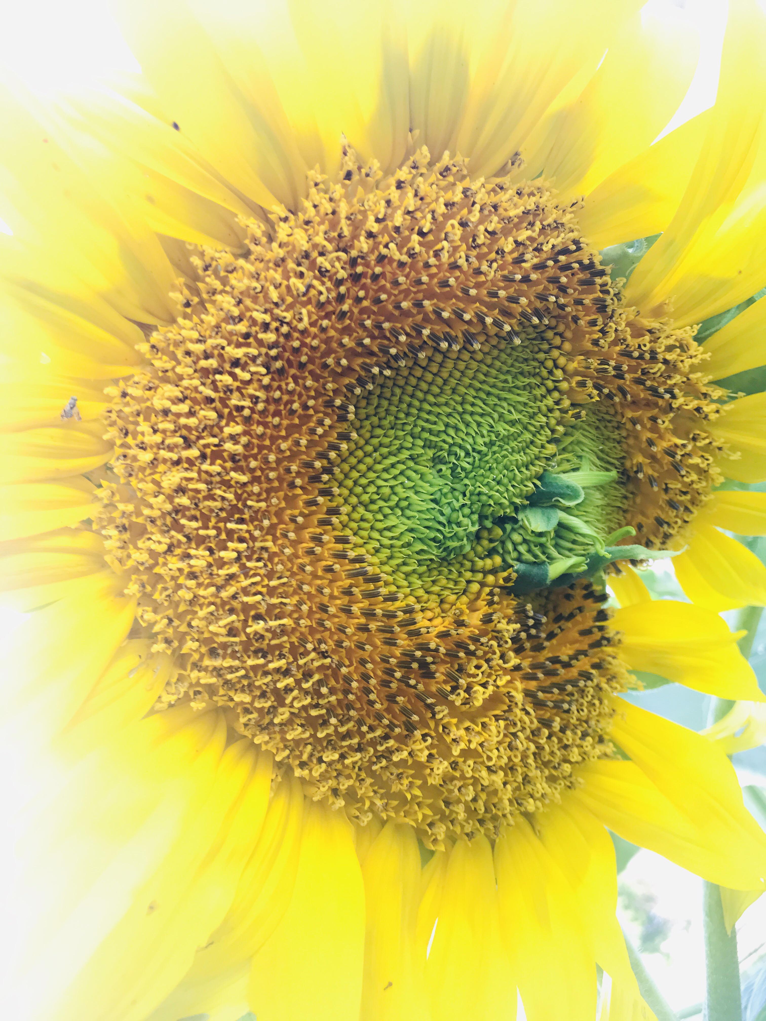 A unique mutation | Scrolller