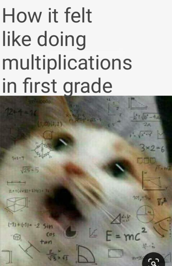 A very relatable meme | Scrolller