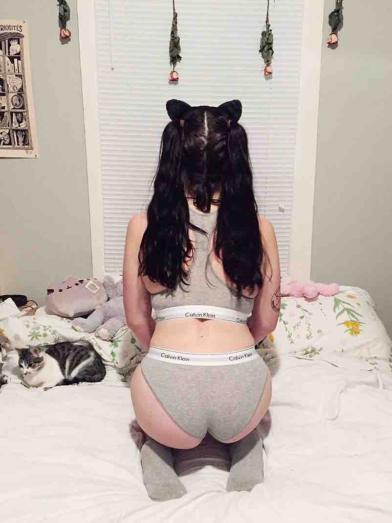 A Very Shy Kitten | Scrolller