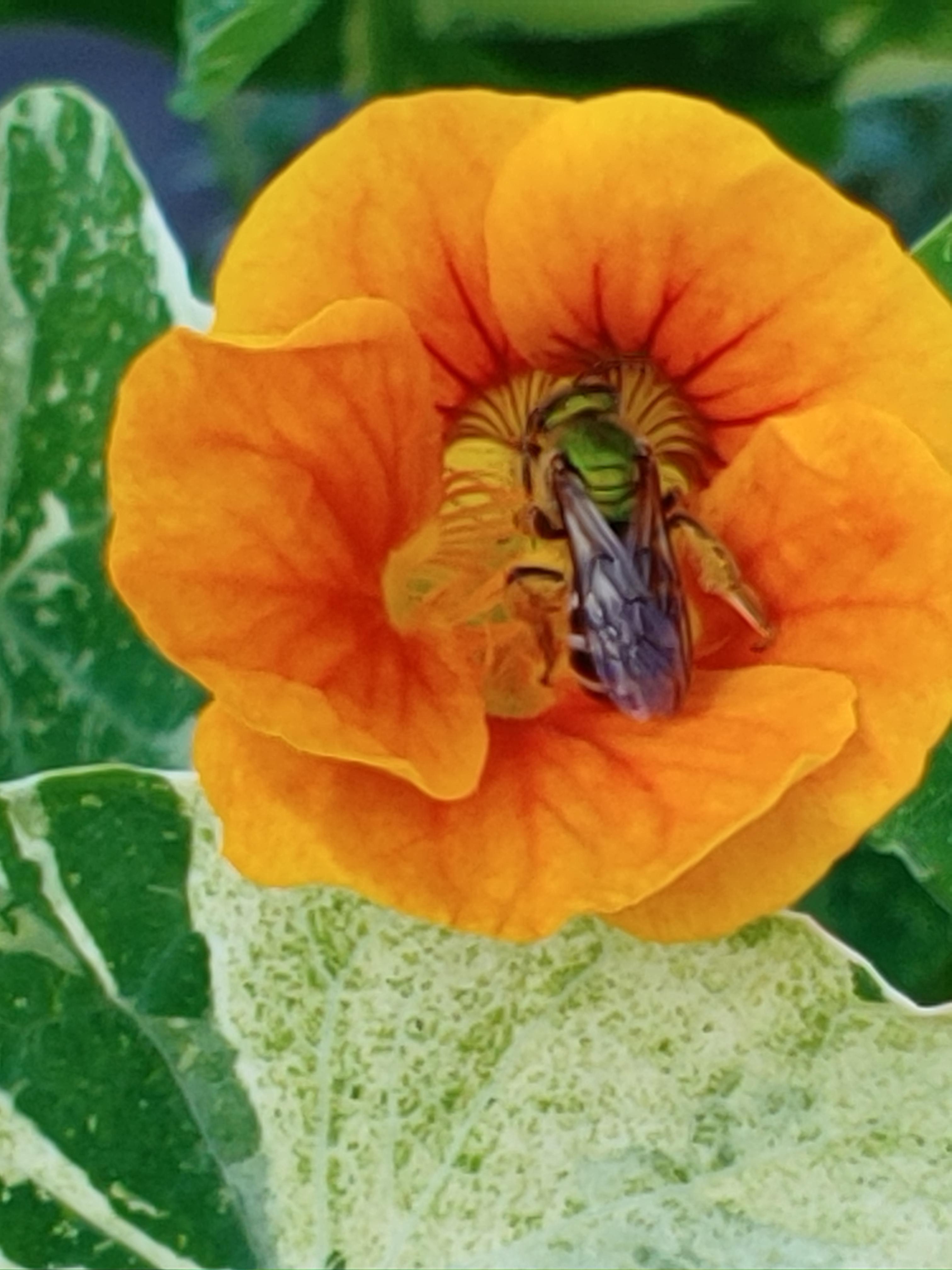 A visitor | Scrolller