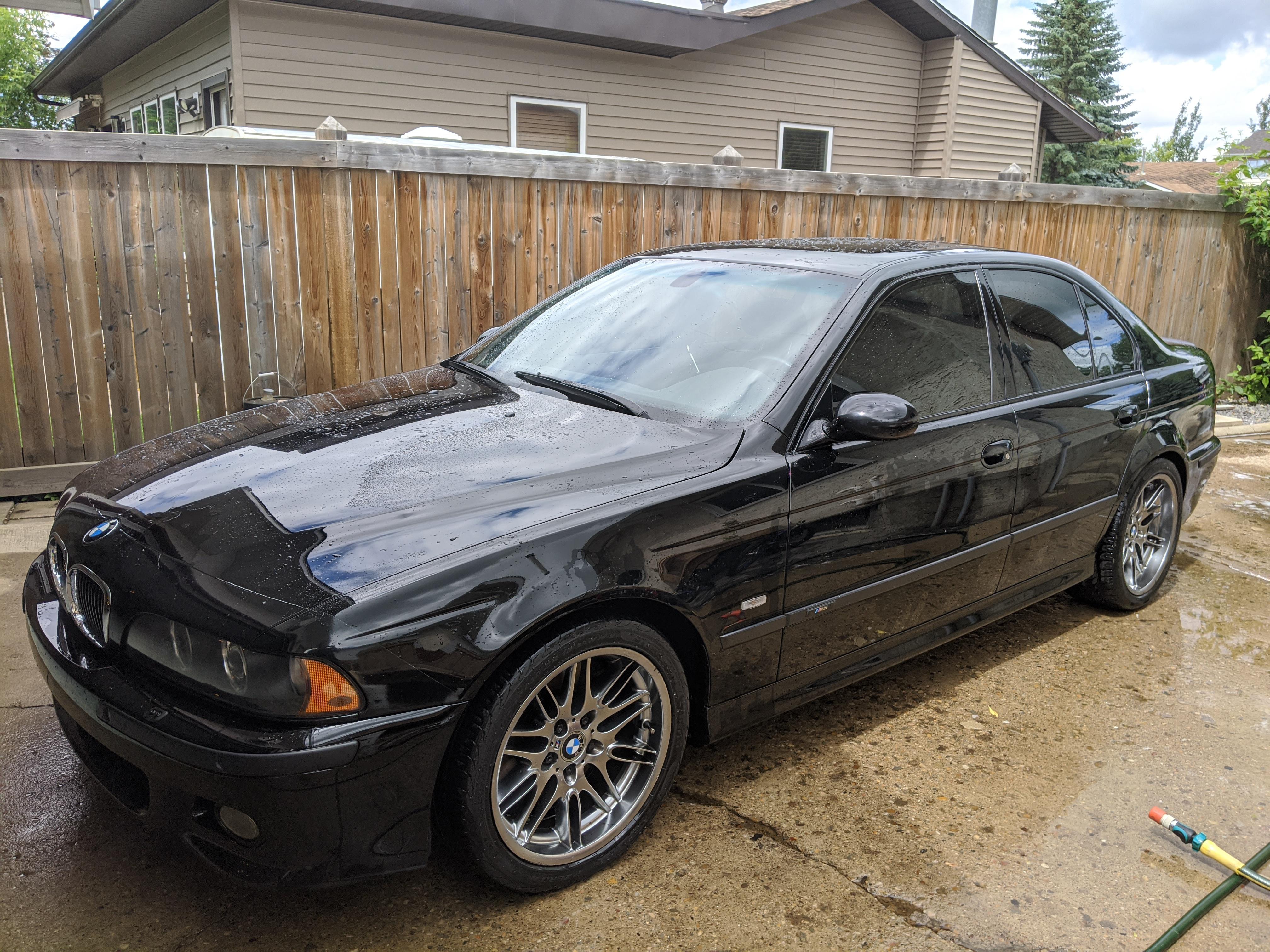 A wet E39 can never look bad. | Scrolller