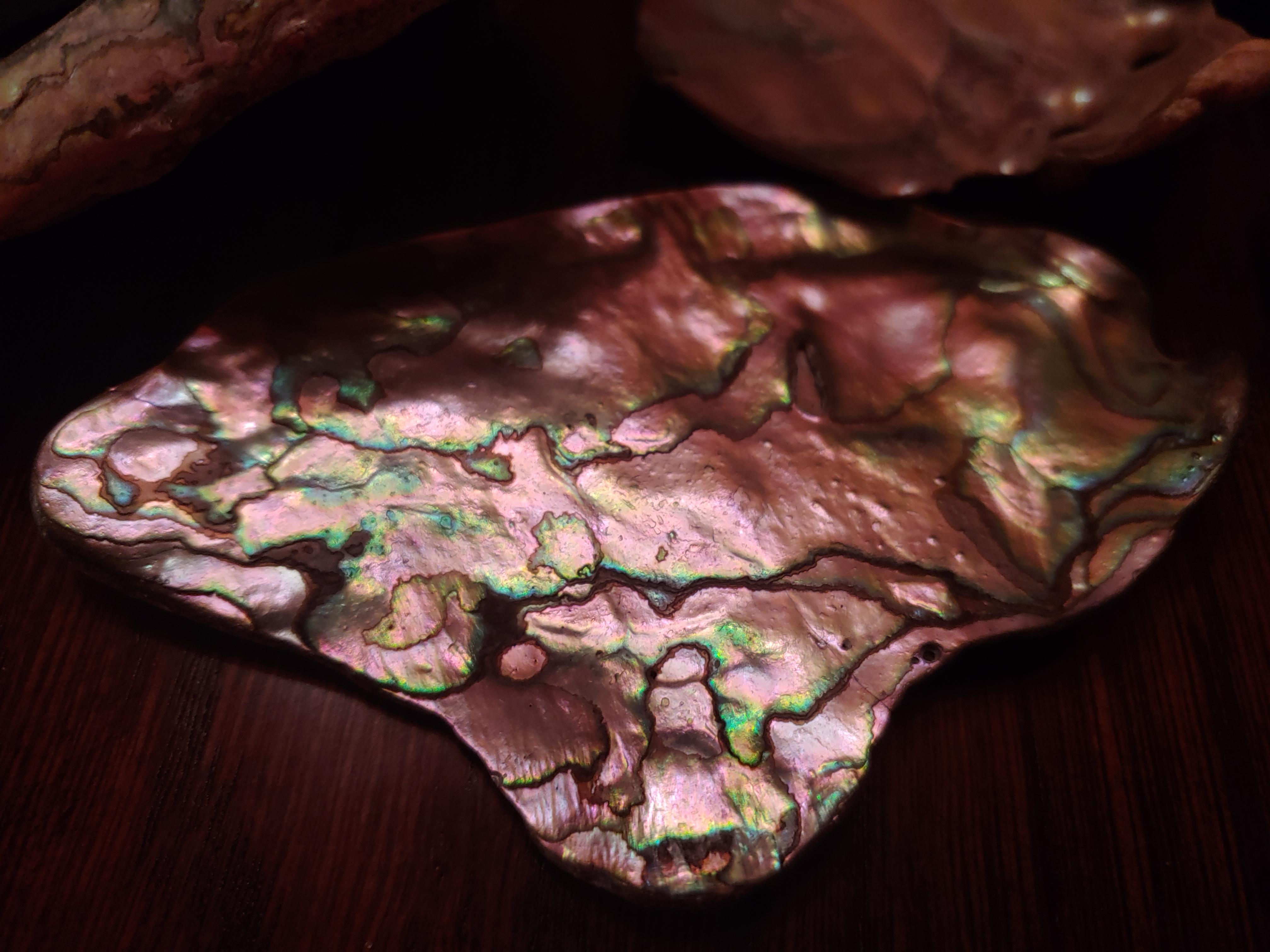 Ab Slab... | Scrolller