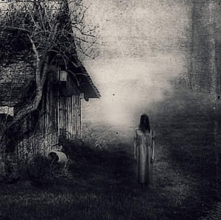 Abandoned | Scrolller