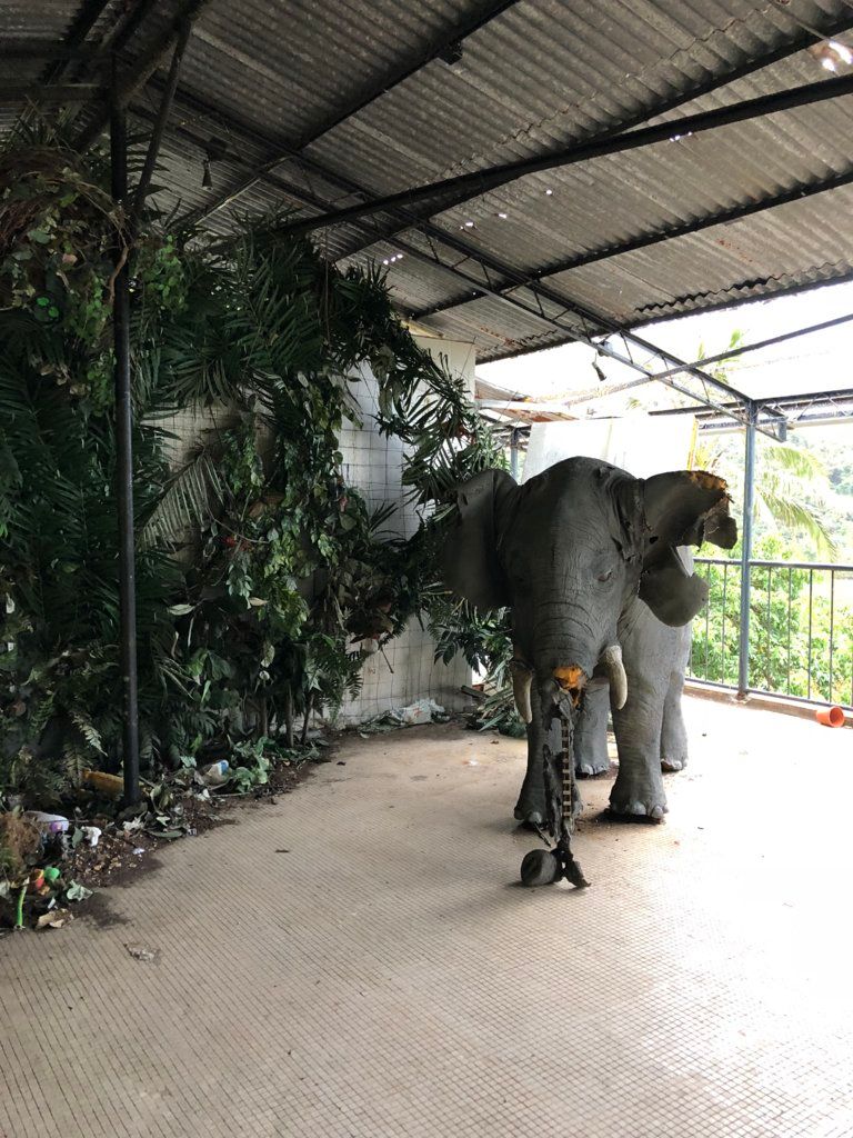 Abandoned Rainforest Cafe Elephant in Hong Kong | Scrolller