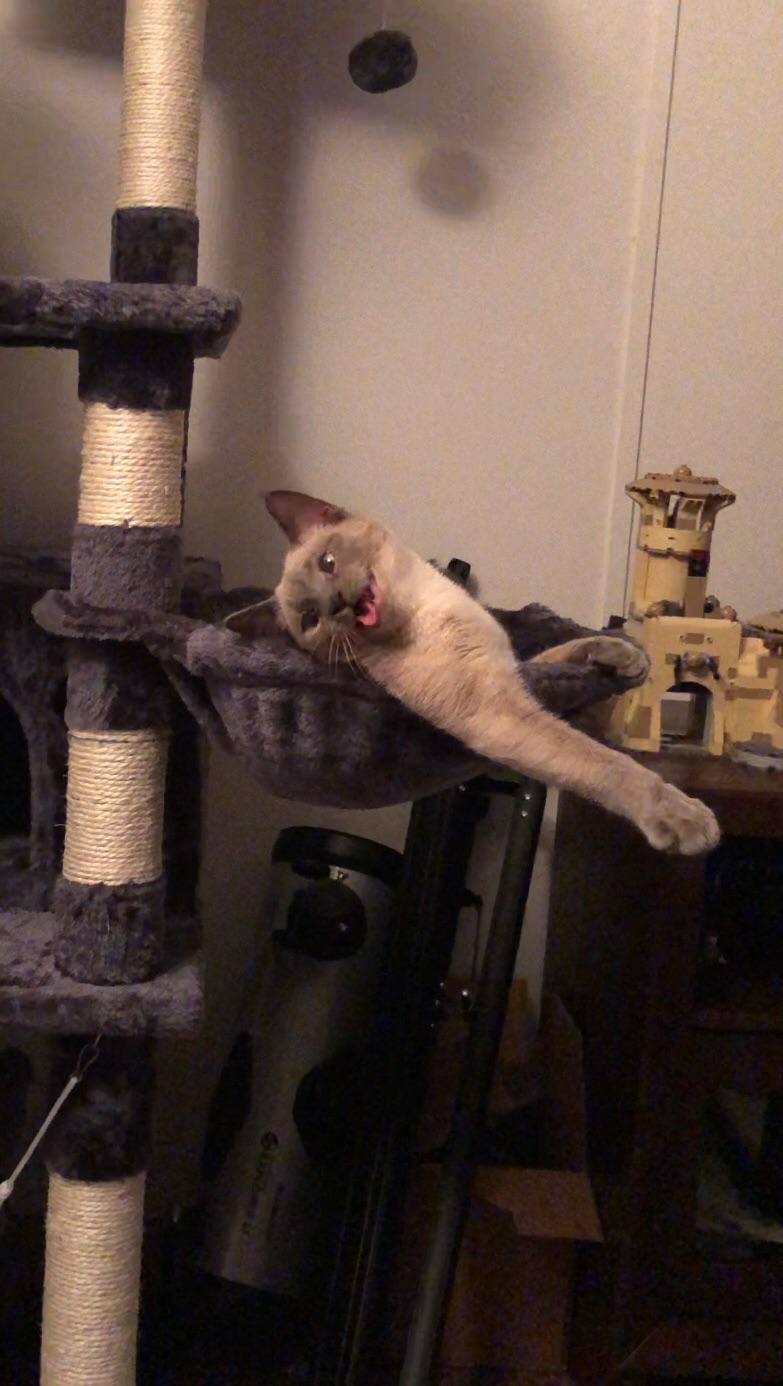 Absolute goofball | Scrolller