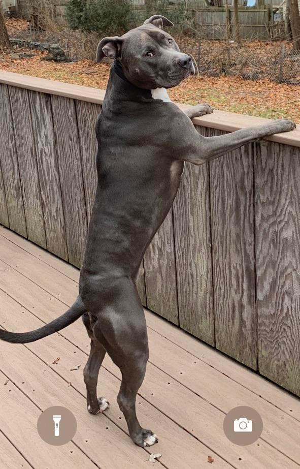 Absolute unit | Scrolller