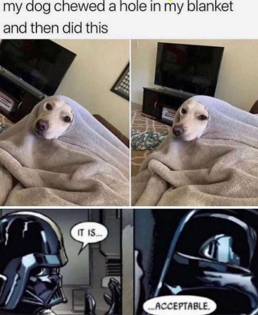 acceptable. | Scrolller