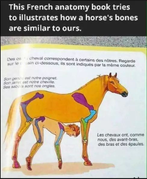 Accidental Beastiality | Scrolller