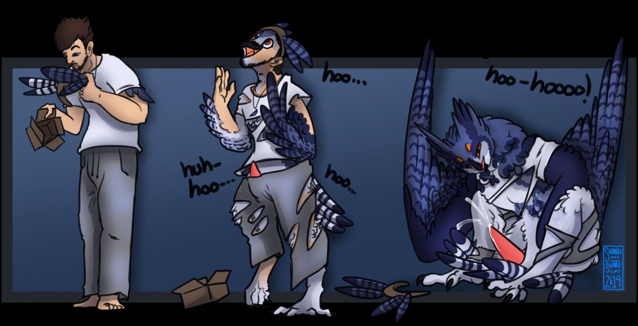 Accidentowl Delivery [Shinkei-Shinto] (M Human → M Owl; Explicit, Hypnosis) | Scrolller