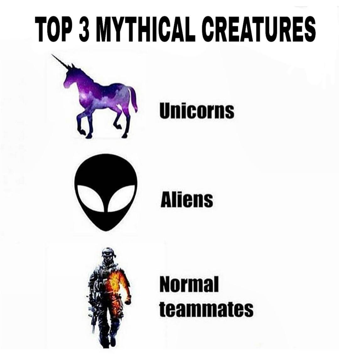 Accurate | Scrolller