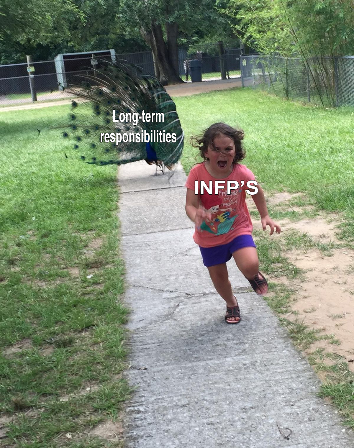 Accurate | Scrolller