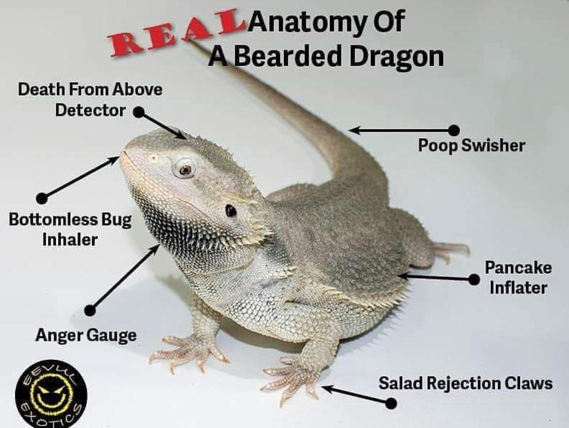 accurate | Scrolller