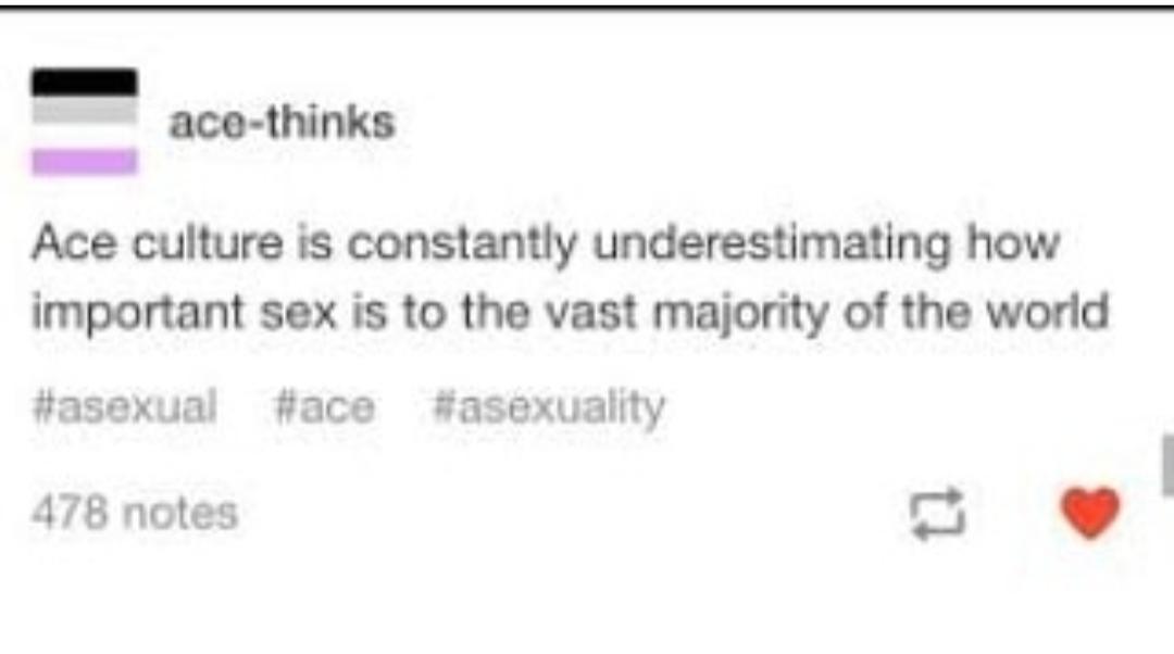 Ace culture | Scrolller