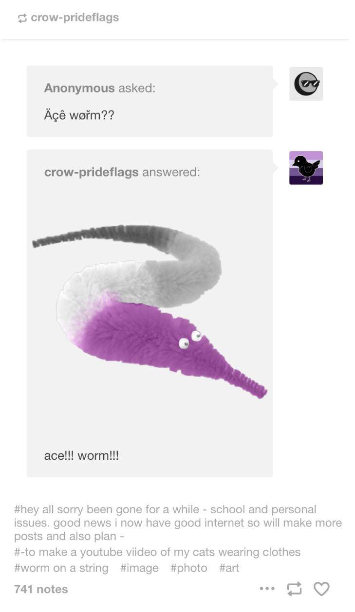 Ace worm | Scrolller