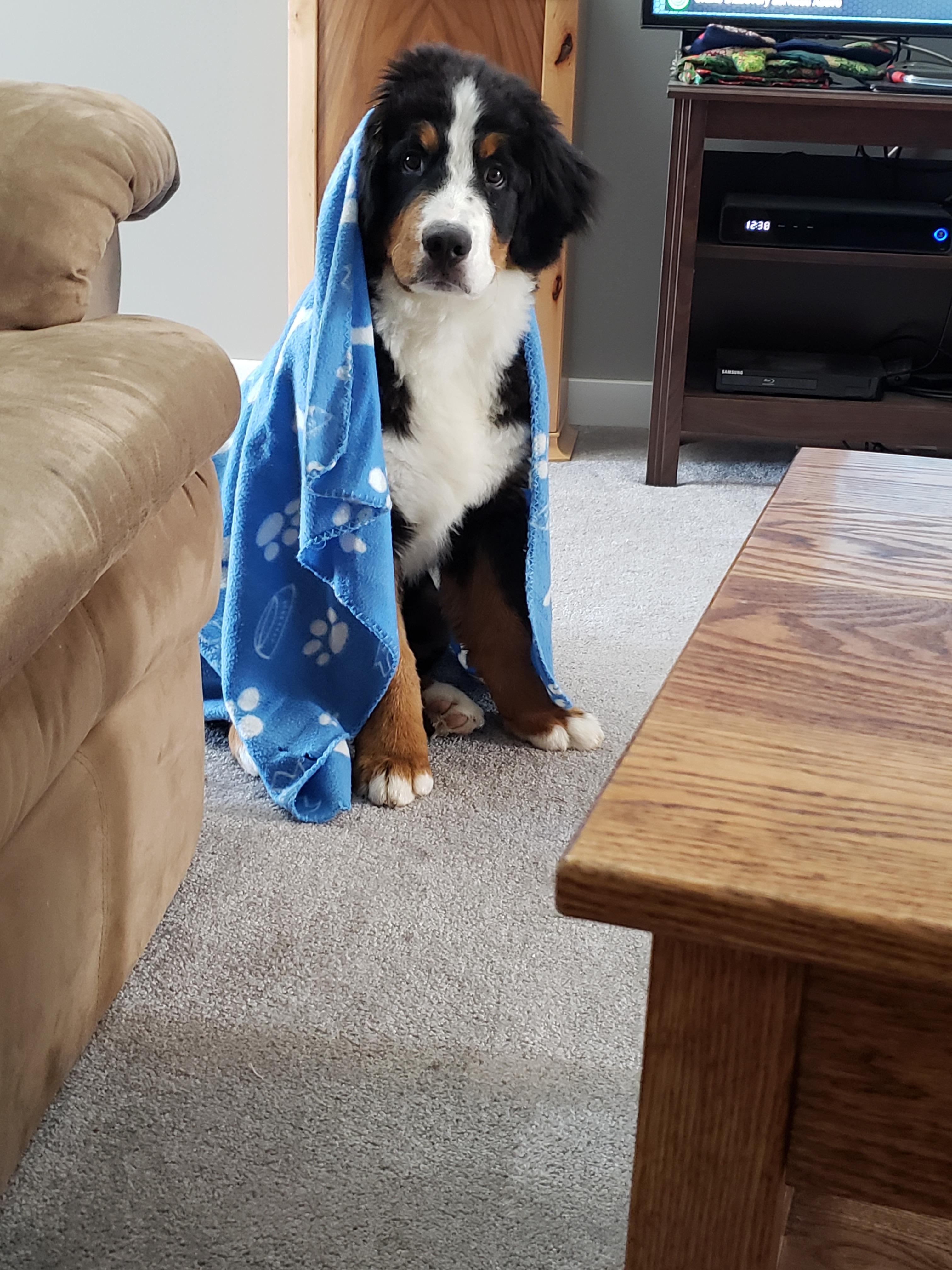 After a nap | Scrolller