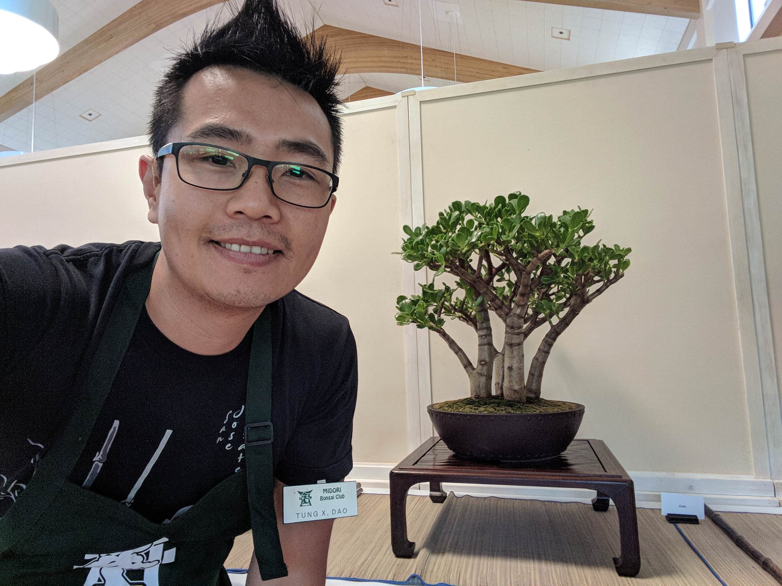 After studying bonsai for 8 years, I finally displayed my first tree in my club's show. It's a ...
