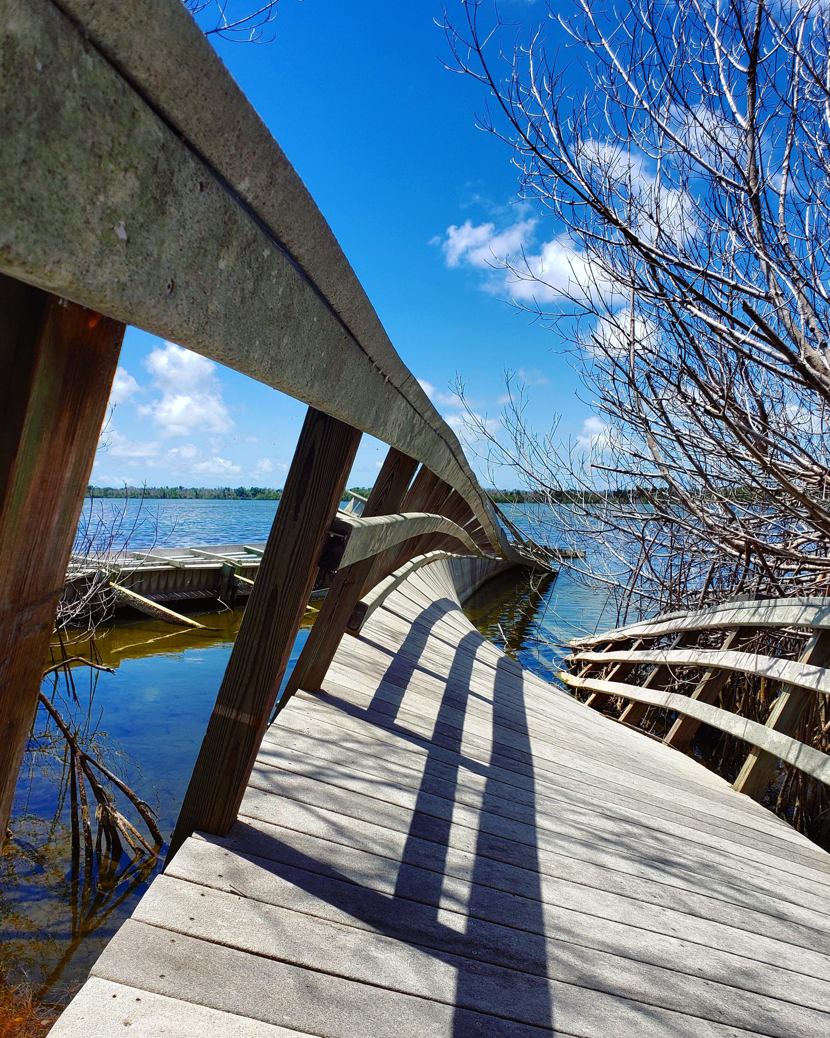 Aftermath of Irma. West lake trail, Everglades national park. [2881x3601] [OC] | Scrolller