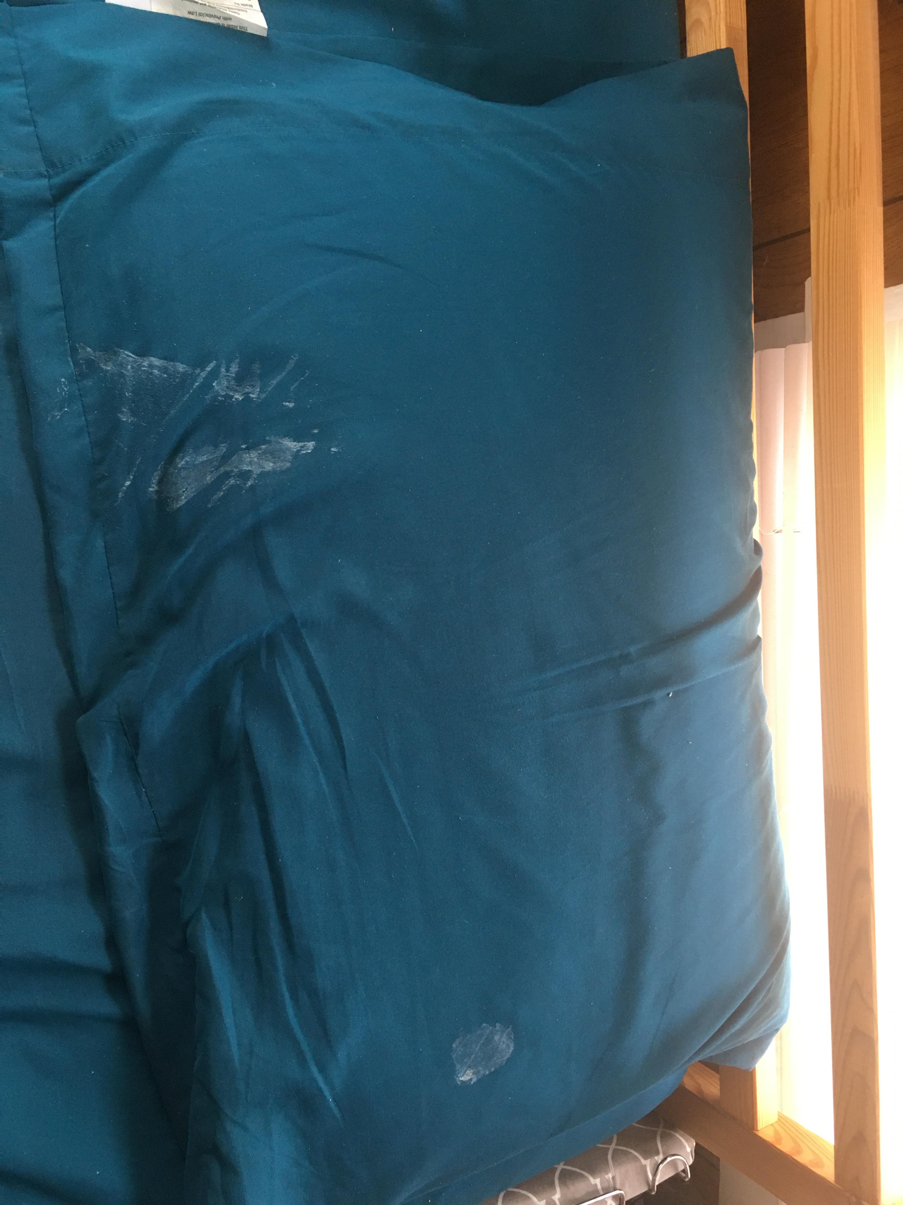 Aftermath of some humping fun... | Scrolller