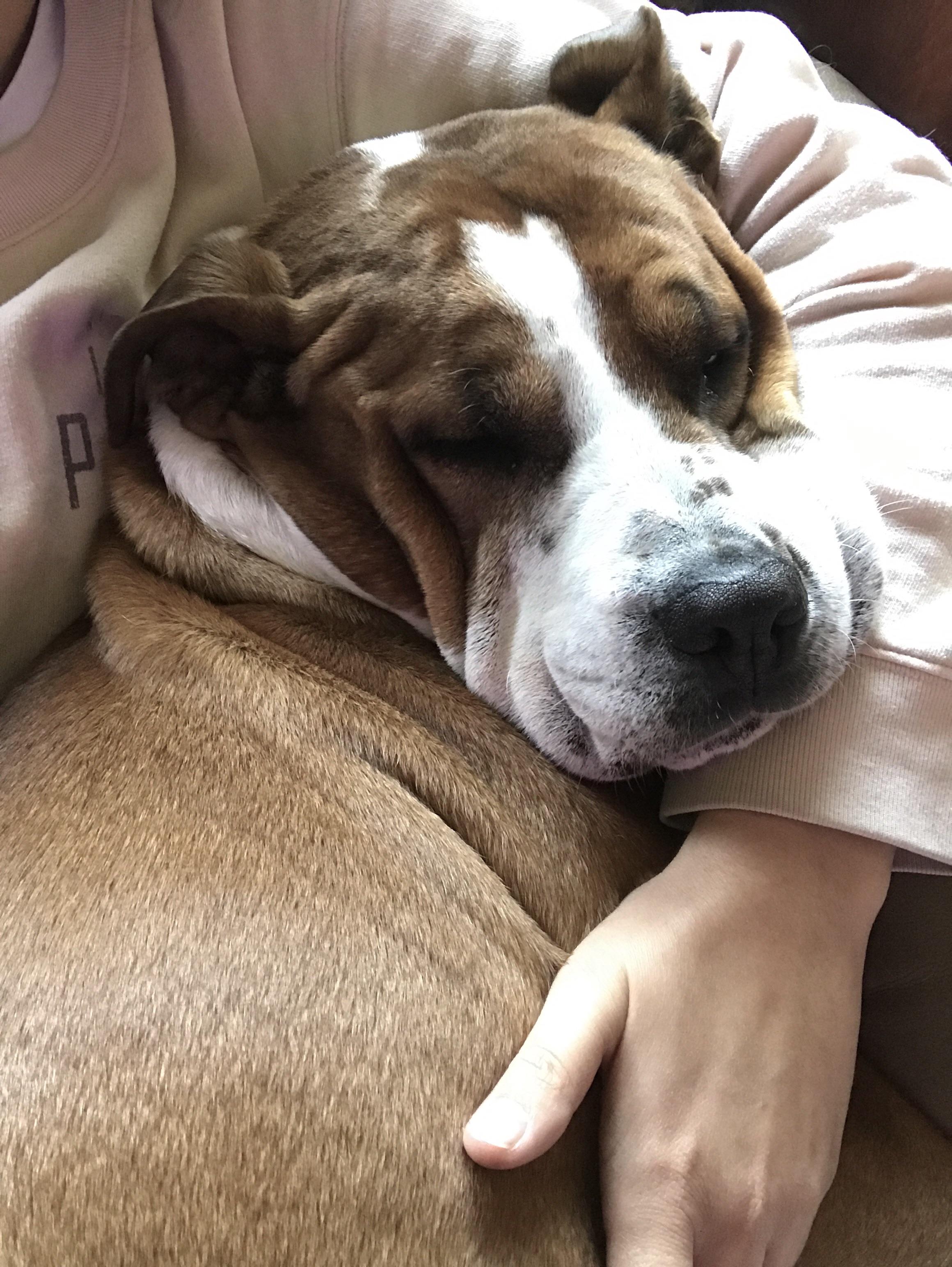 Afternoon naps and squishy wrinkles | Scrolller