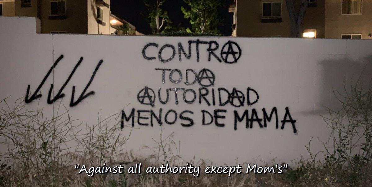 Against all Authority, except mom | Scrolller
