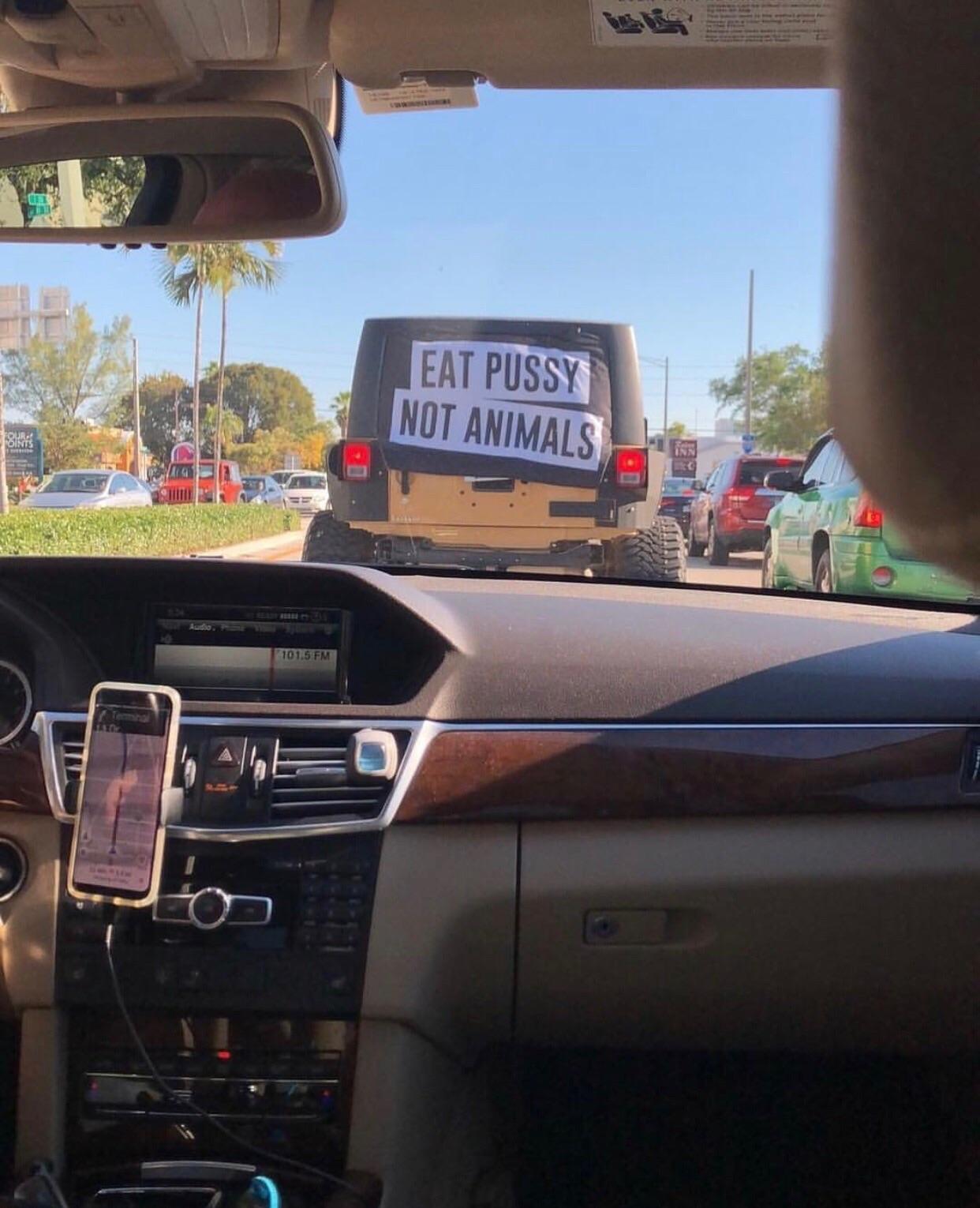 Aggressive | Scrolller