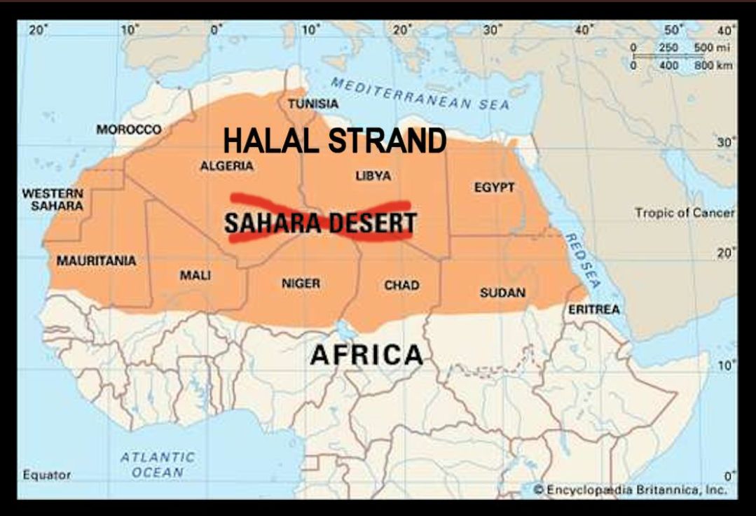 Ah kijk, de perfecte plek voor het halal strand! | Scrolller