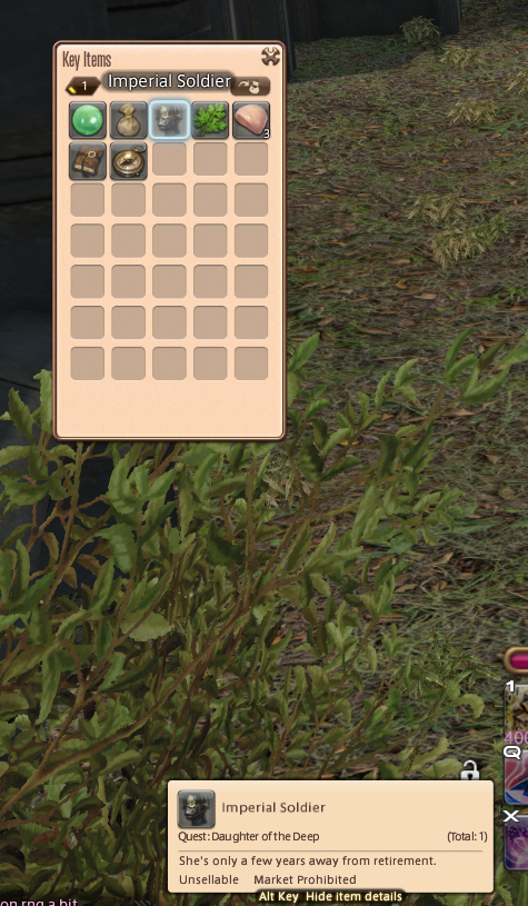 Ah yes. I have a whole Imperial Soldier in my inventory! Nice! | Scrolller