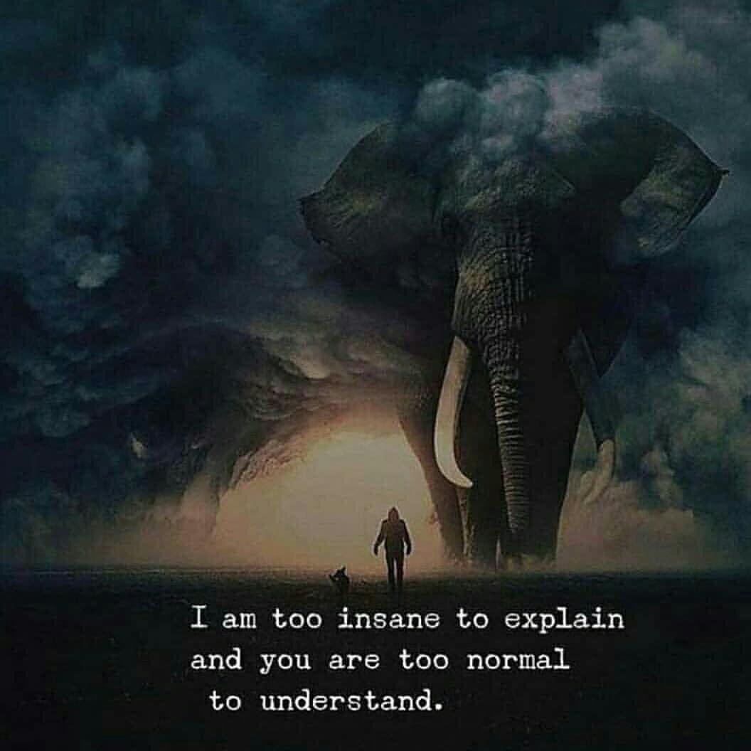 Ah yes, of course. | Scrolller