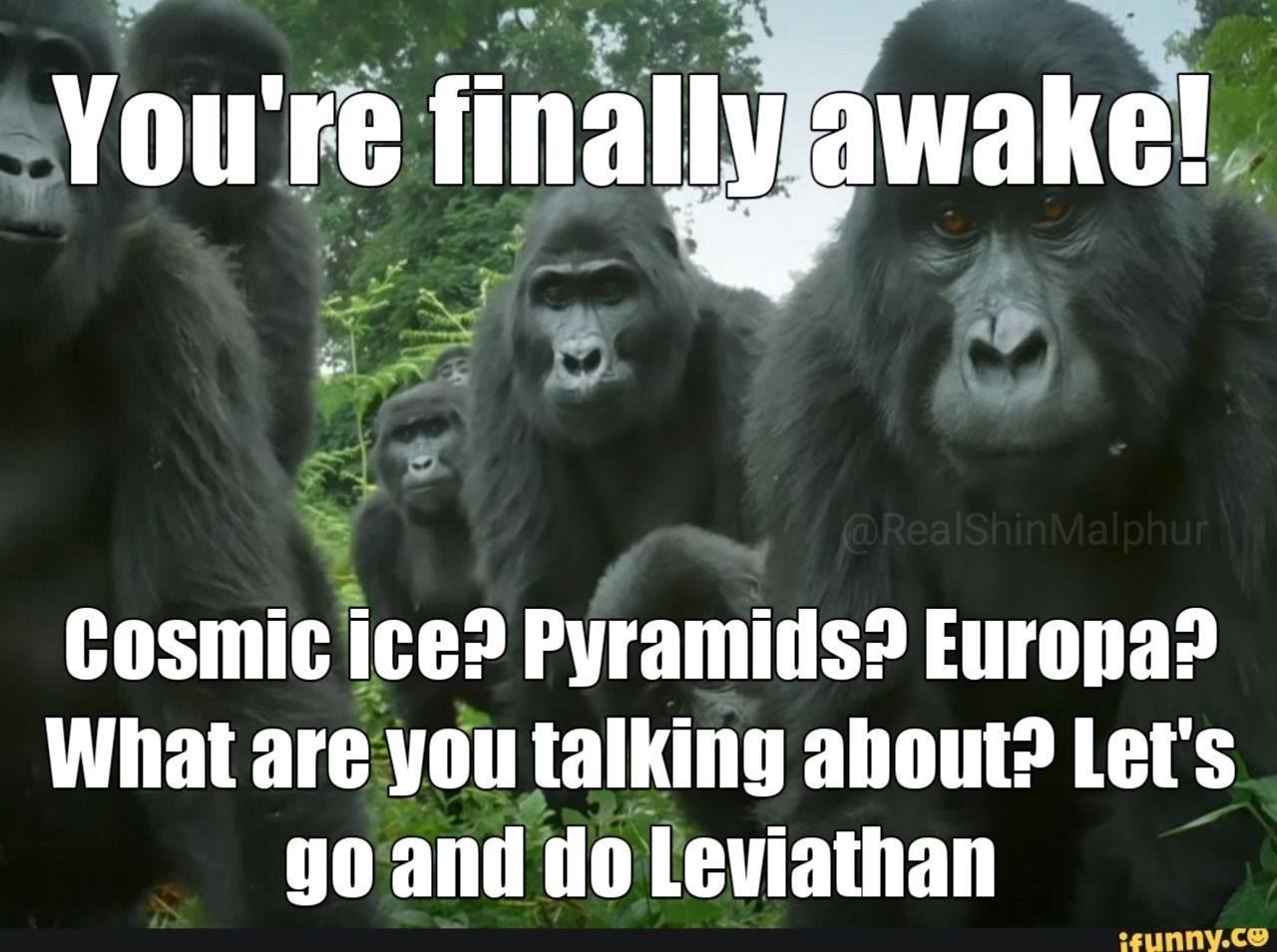 Ah yes, you're finally awake! | Scrolller