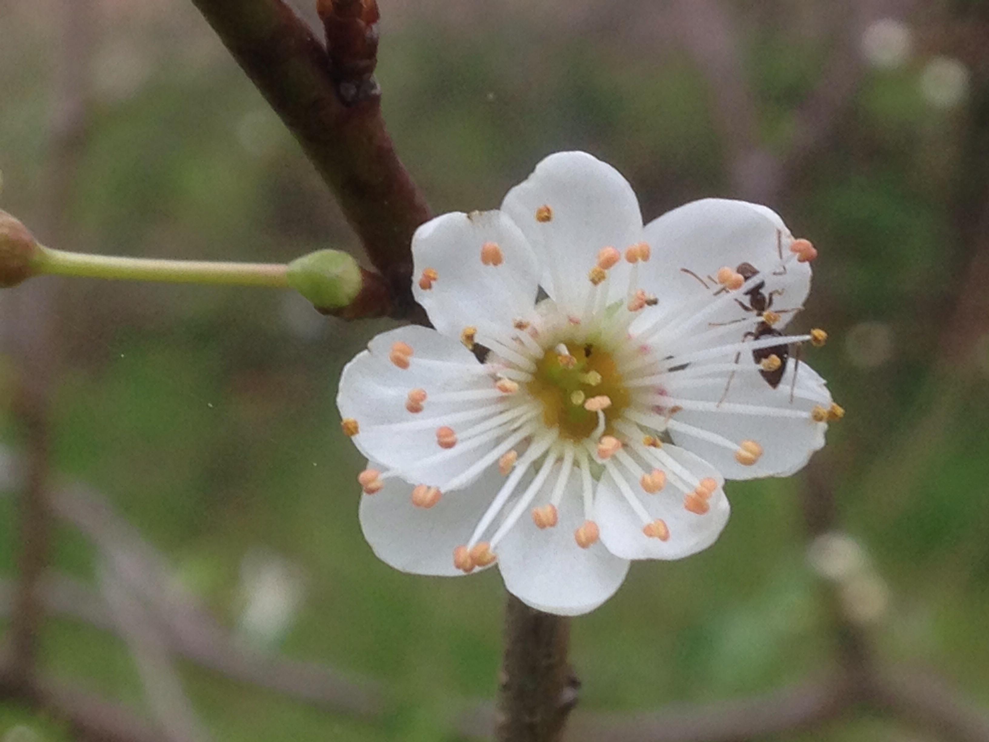 Ahhhh.... nature | Scrolller