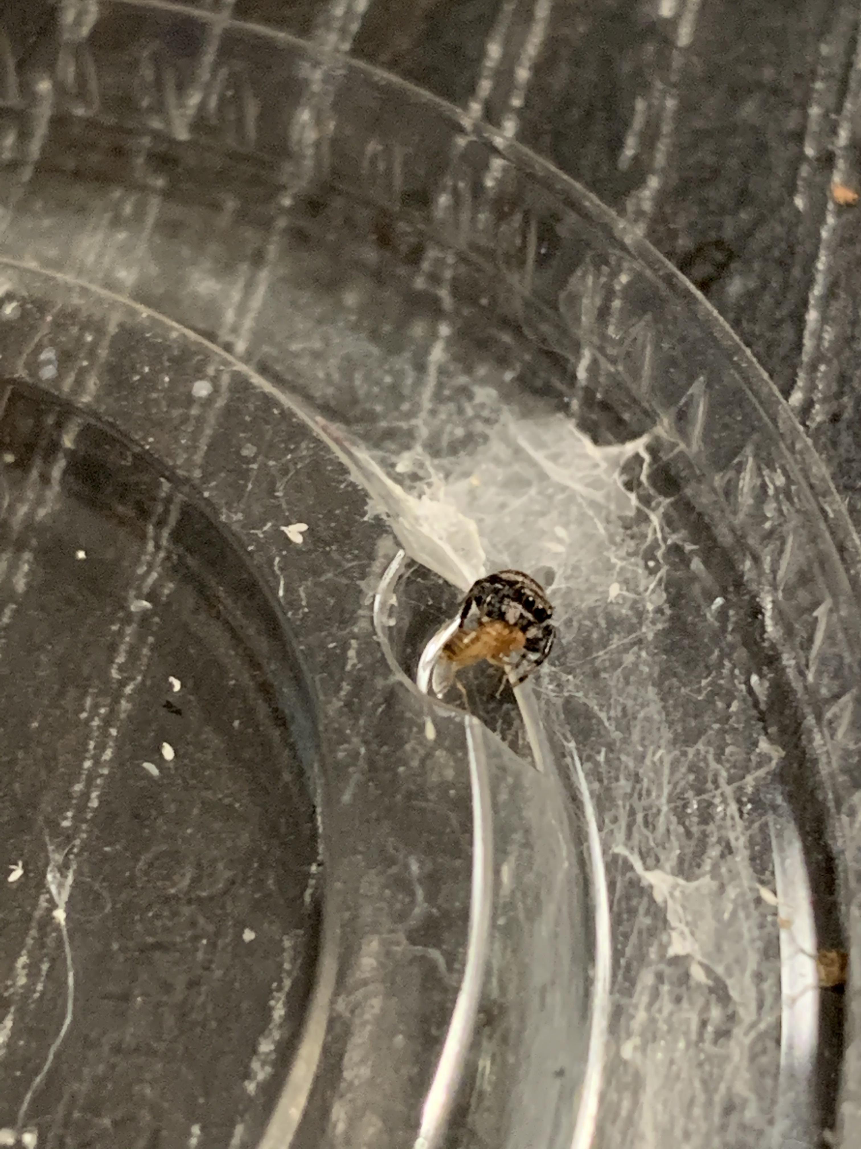 Ahm nam nam | Scrolller