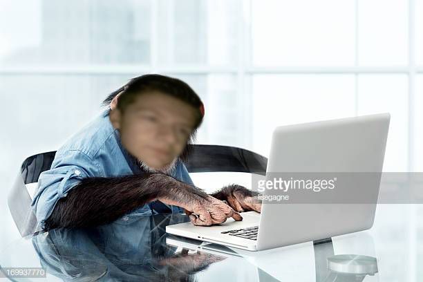 Aina the Clip Chimp | Scrolller