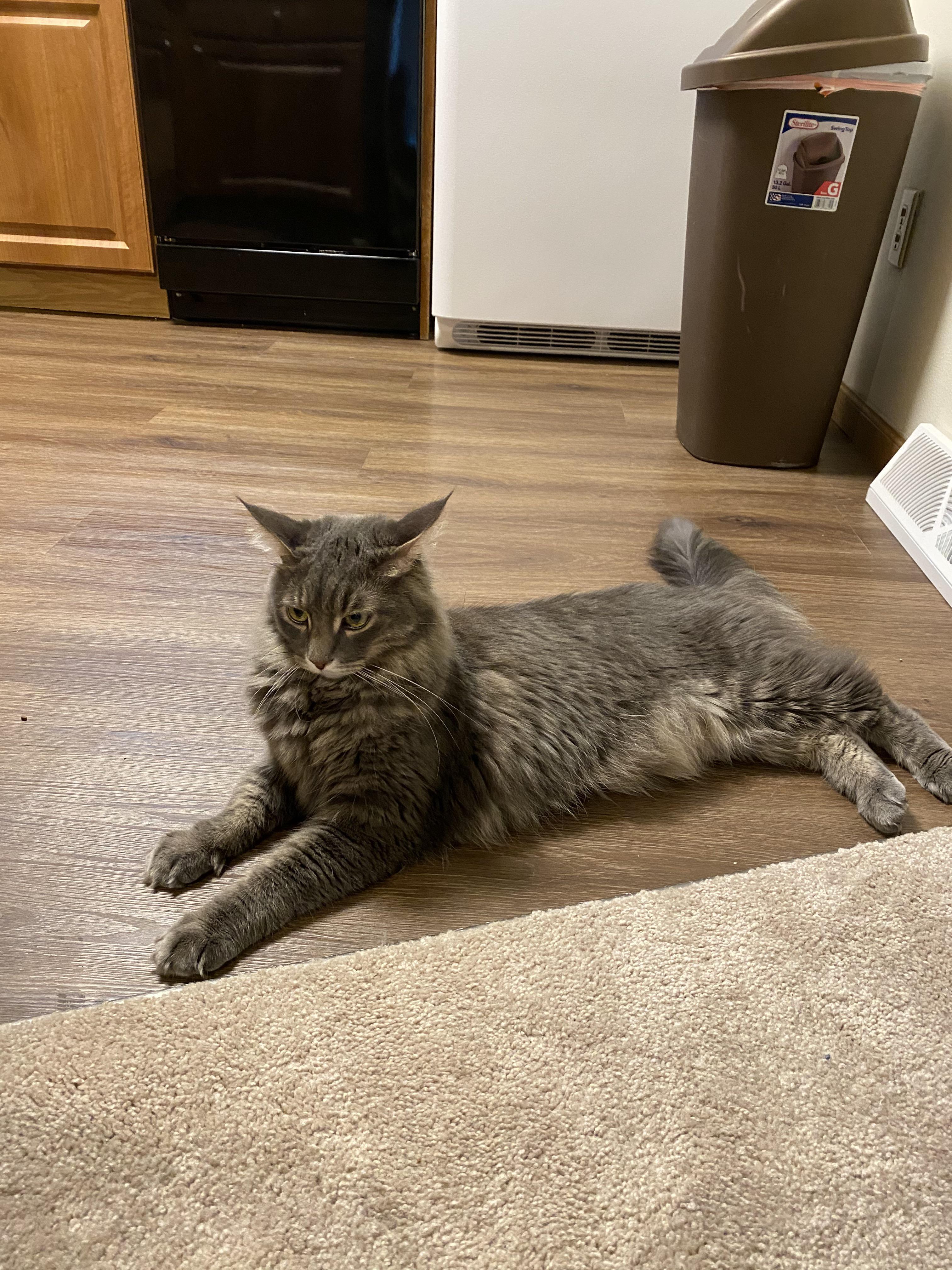 Albus laser focused on his sister | Scrolller