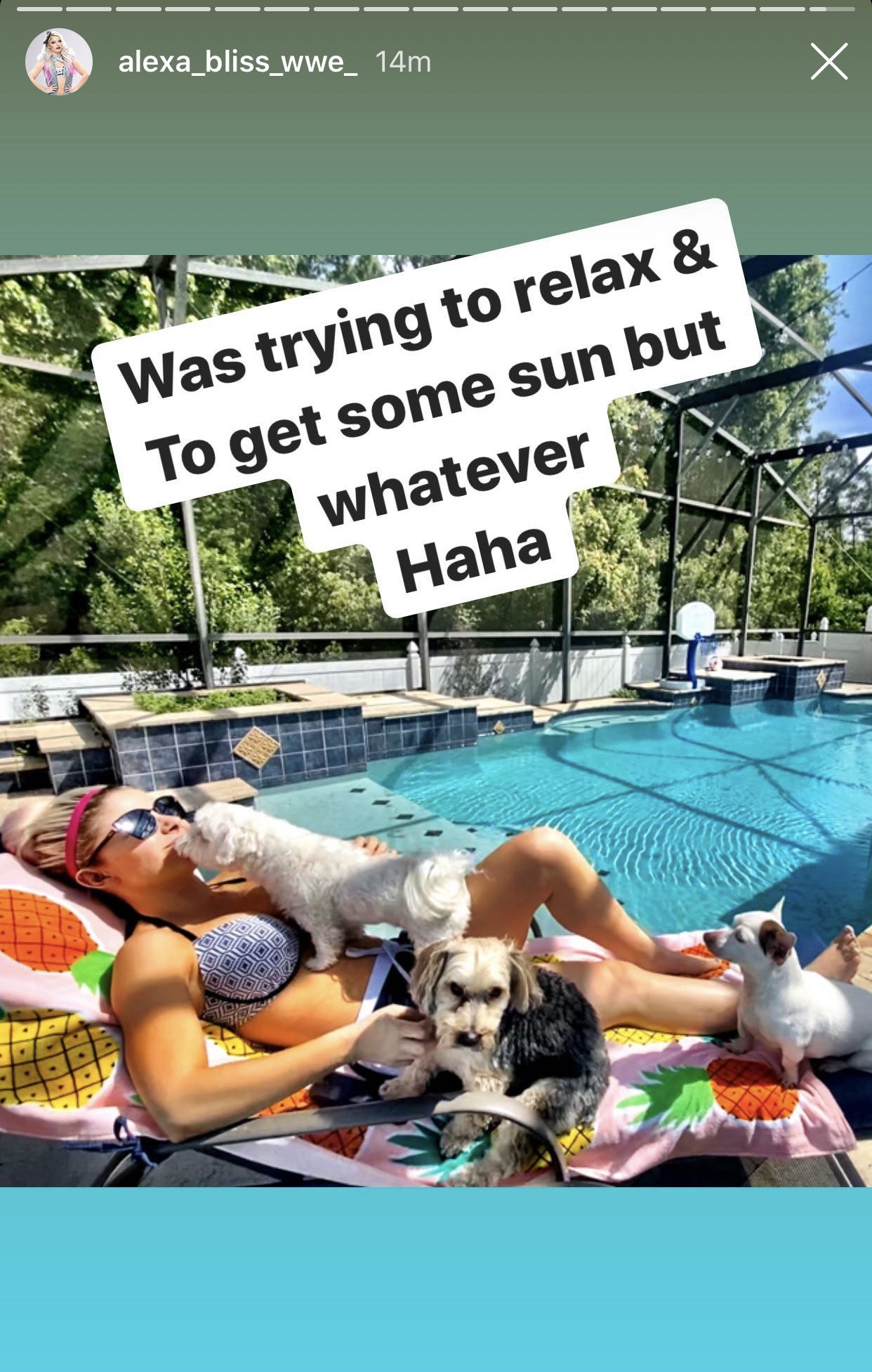 Alexa Bliss | Scrolller