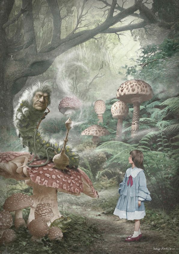 Alice in Wonderland by Valery Petelin | Scrolller