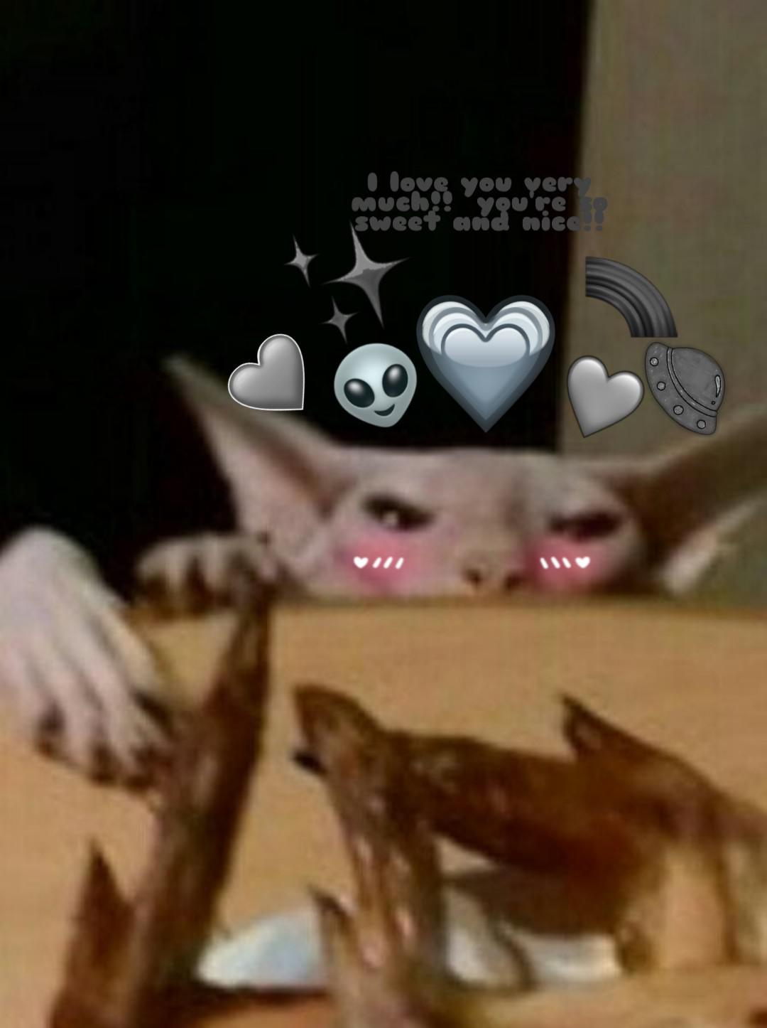 Alien cat | Scrolller