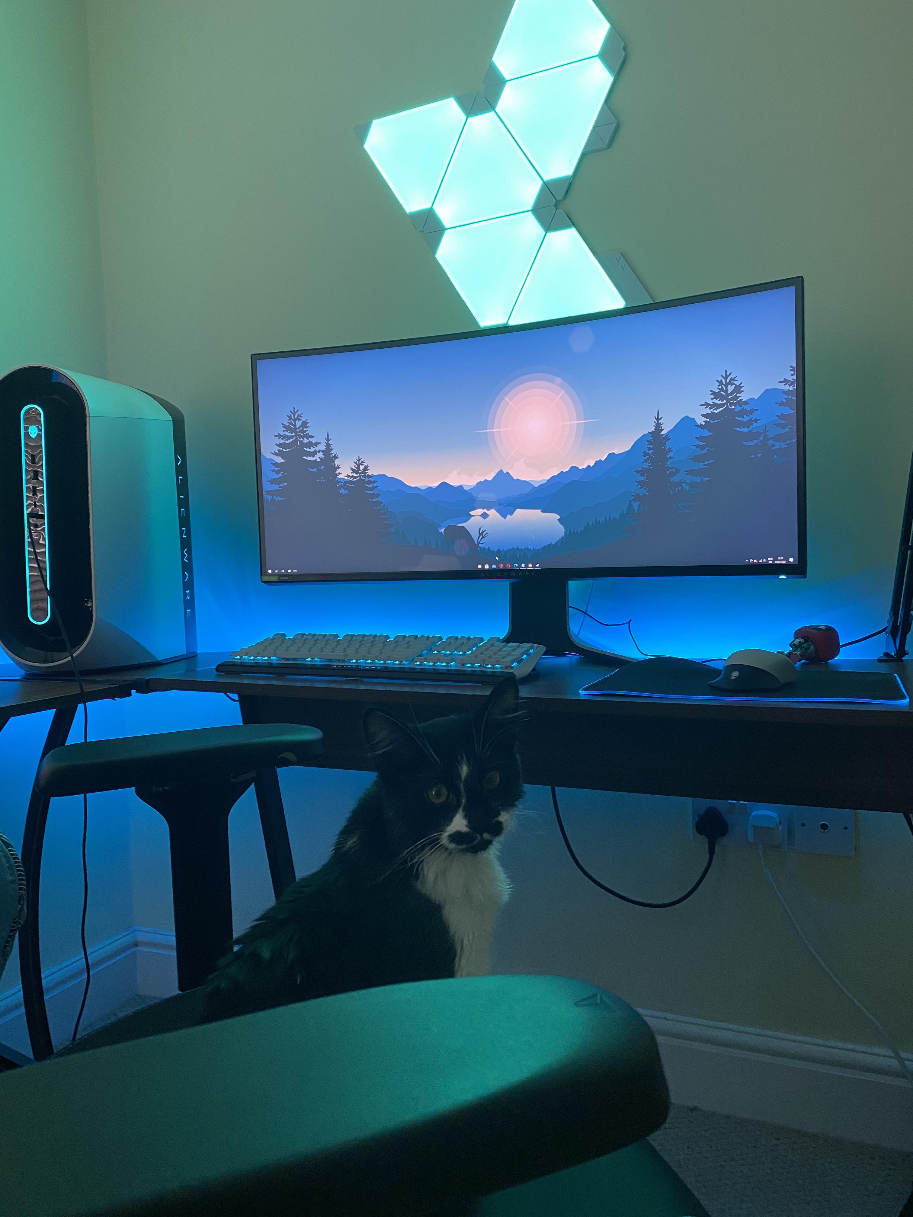 Alienware, with a little visitor | Scrolller