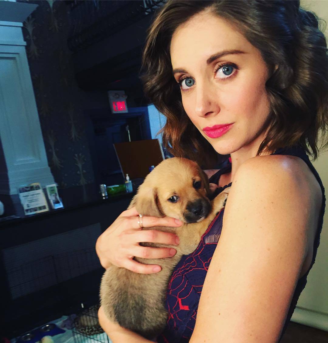 Alison Brie | Scrolller