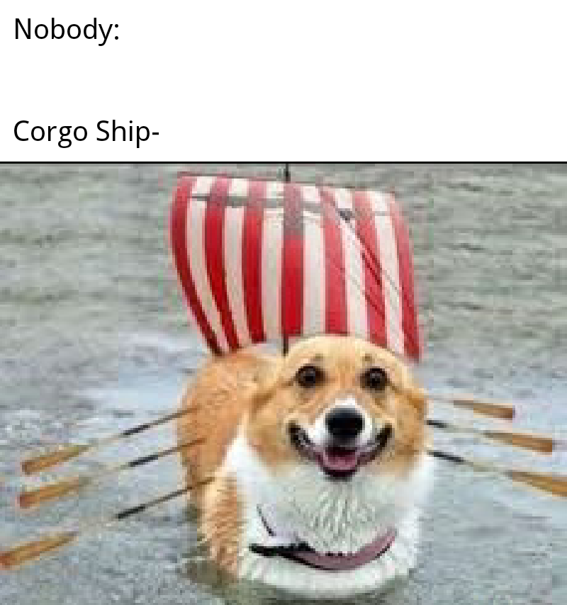 All aboard | Scrolller