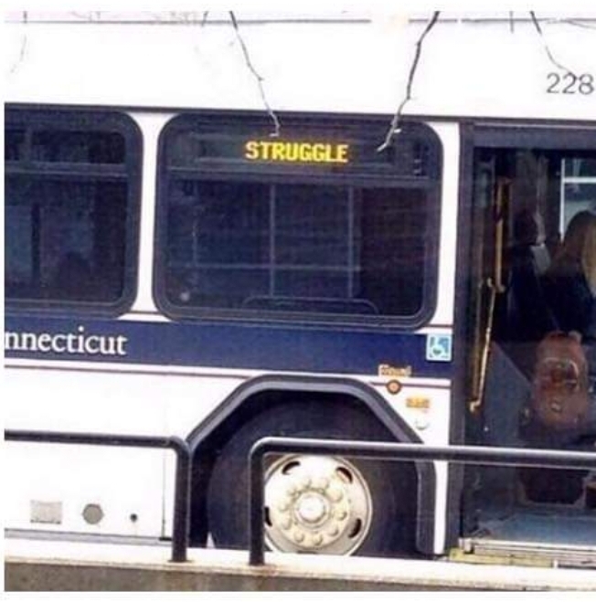 All aboard! | Scrolller