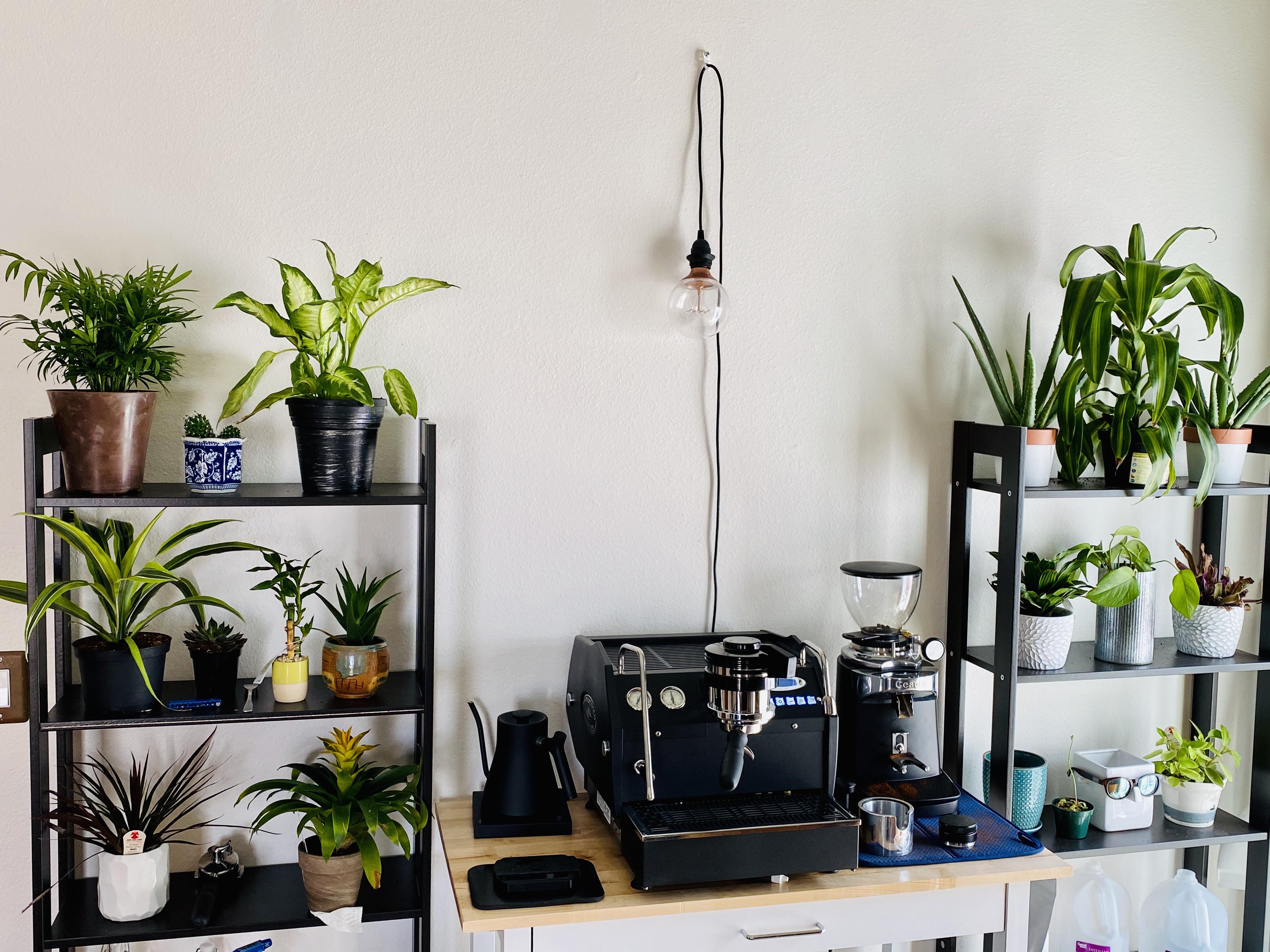 All Black now | Scrolller