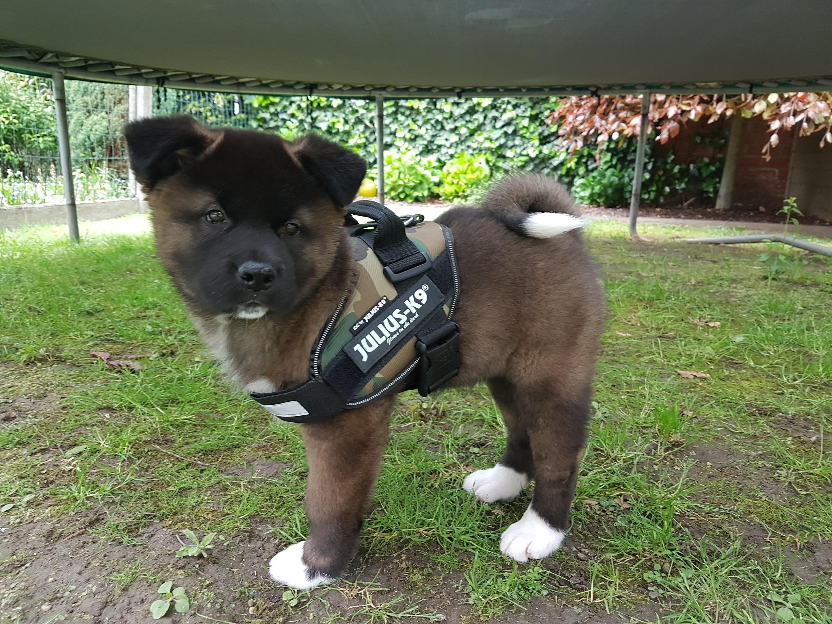 All geared up | Scrolller