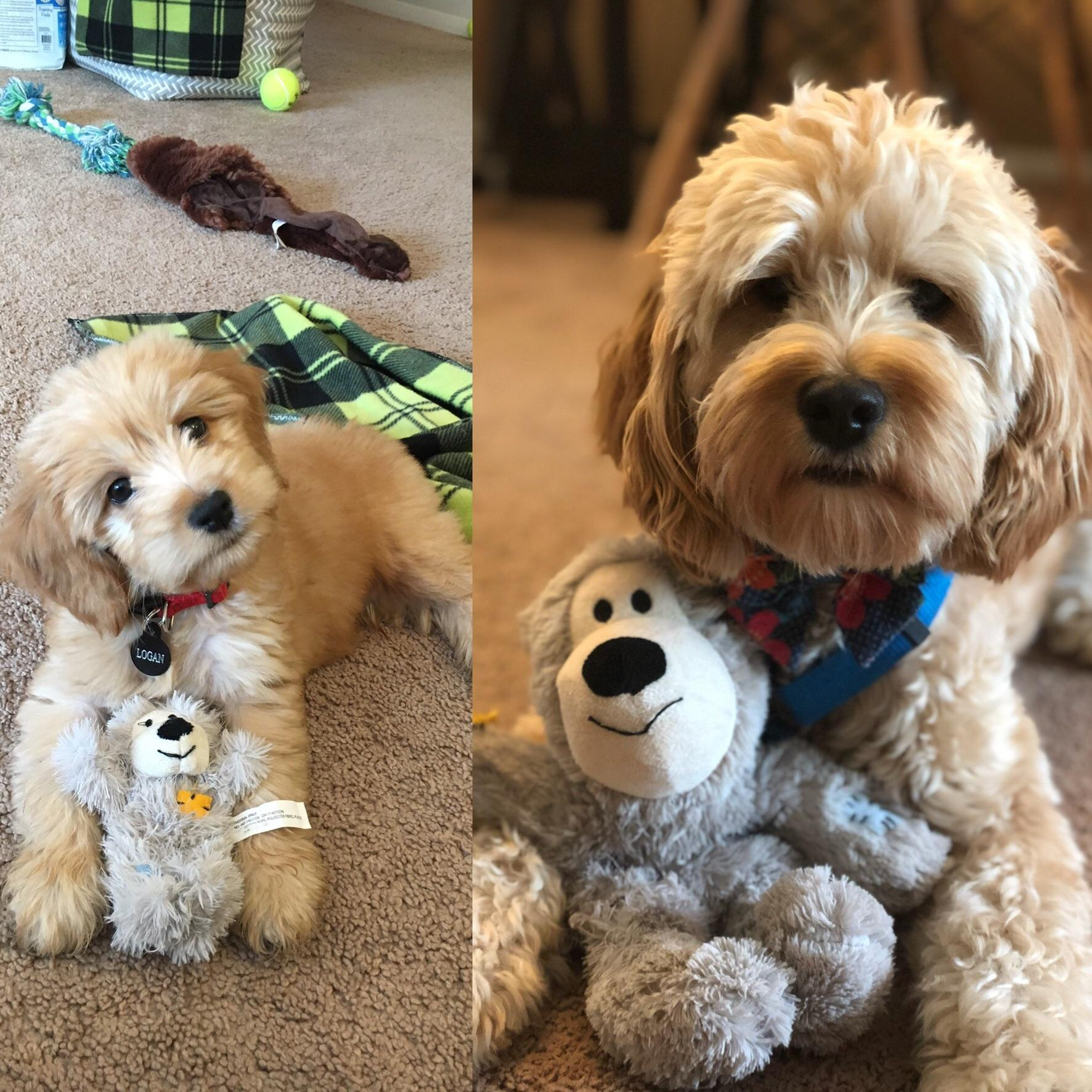 All grown up | Scrolller